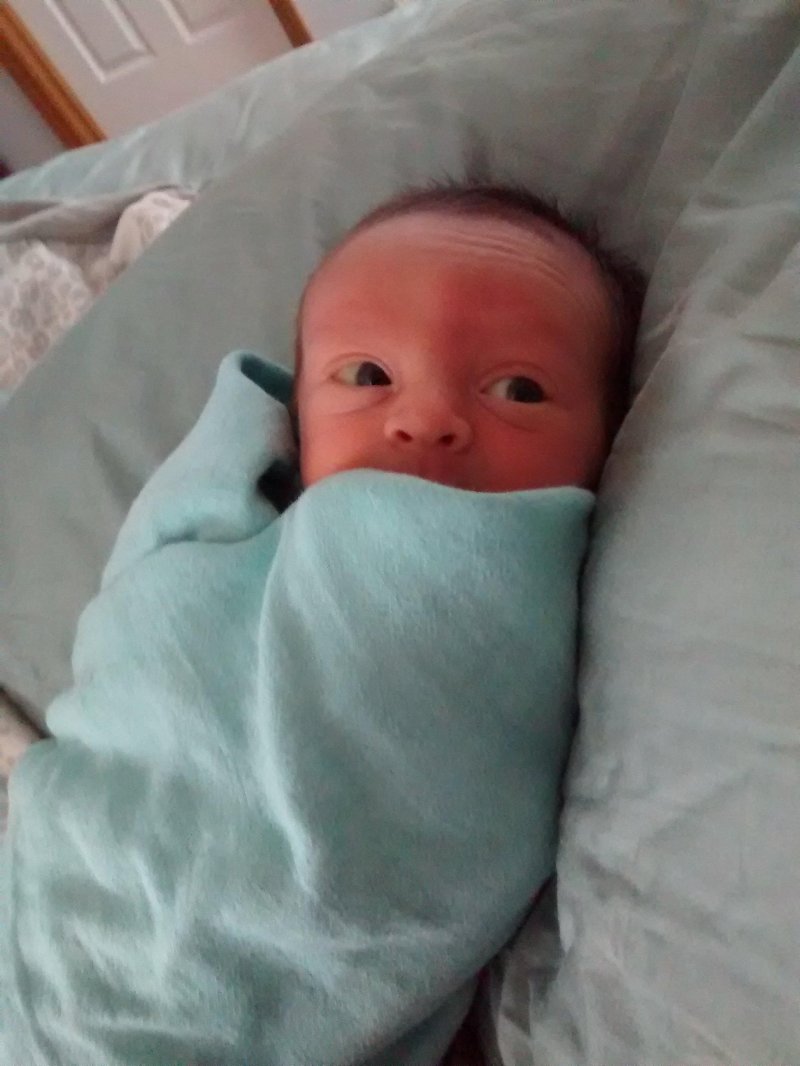 charles leifer | Connor Thomas Leifer charles leifer | Connor Thomas Leifer